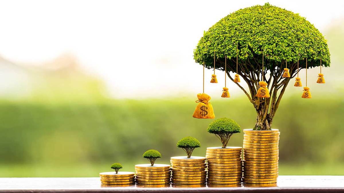 Saiba o que é prosperidade e como aplicá-la em sua vida